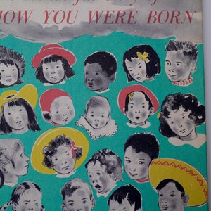 The Wonderful Story of How You Were Born Sidonie Gruenberg 1952 Vintage ...