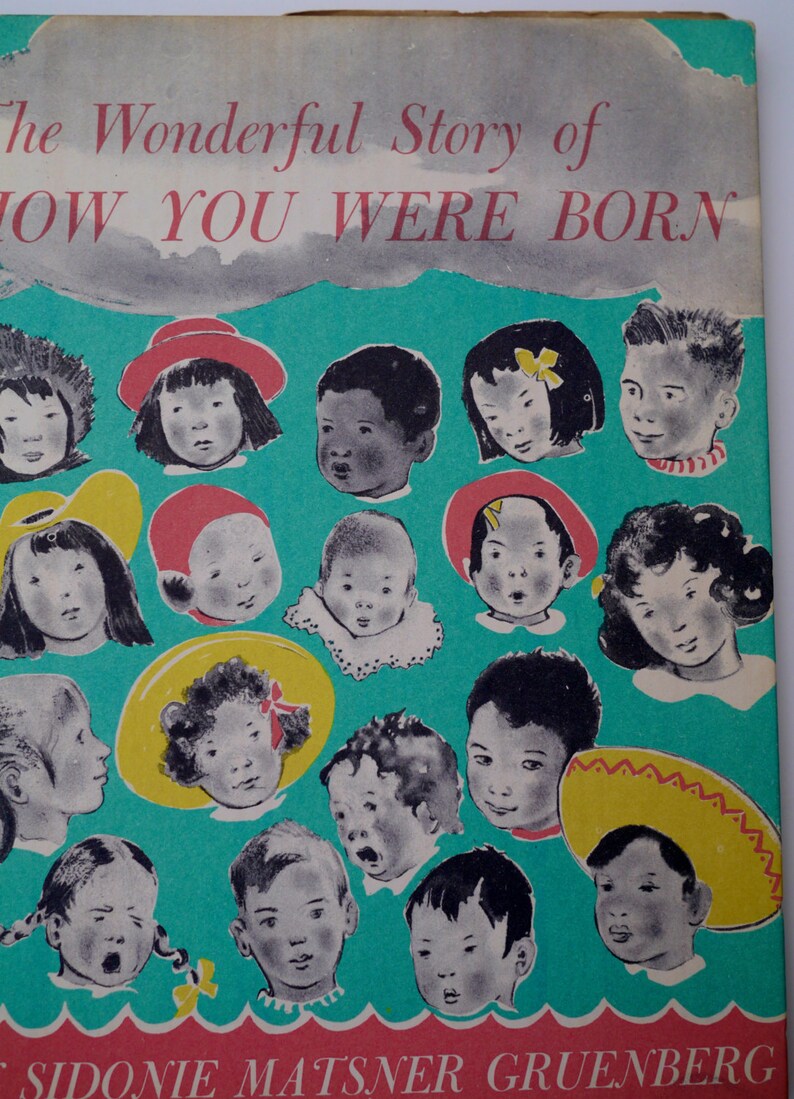 The Wonderful Story of How You Were Born Sidonie Gruenberg 1952 Vintage ...