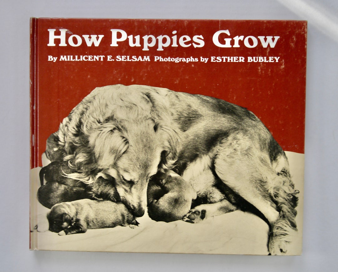How Puppies Grow Millicent E. Selsam Esther Bubley Vintage Children's ...