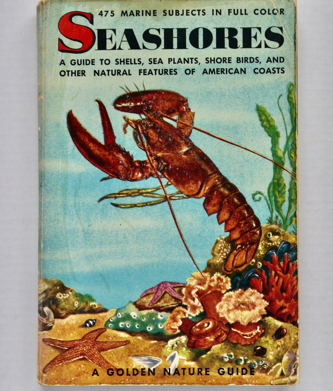 Seashores A Golden Nature Guide 1955 Herbert S. Zim Vintage Midentury ...