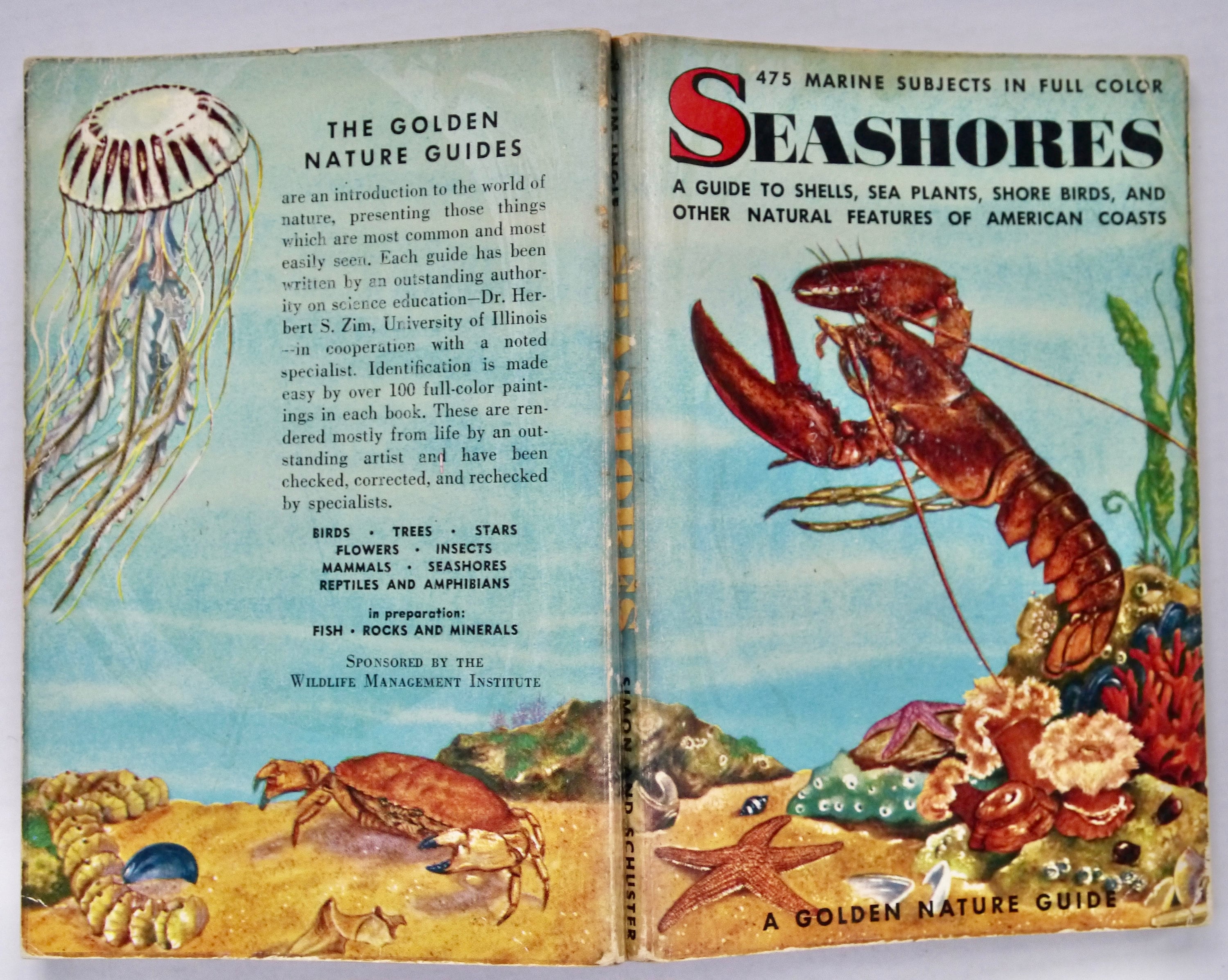 Seashores A Golden Nature Guide 1955 Herbert S. Zim Vintage Midentury ...