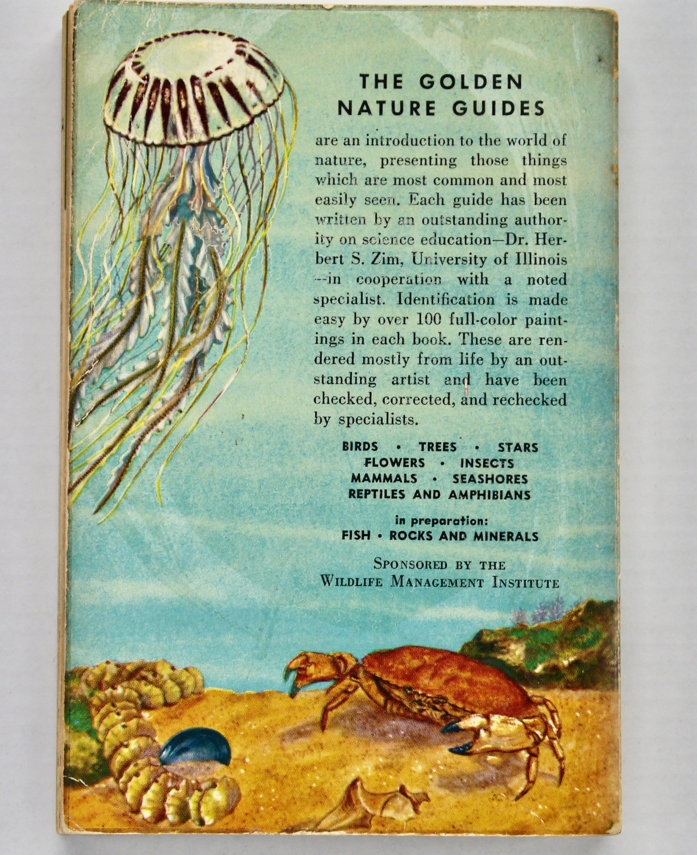 Seashores A Golden Nature Guide 1955 Herbert S. Zim Vintage Midentury ...