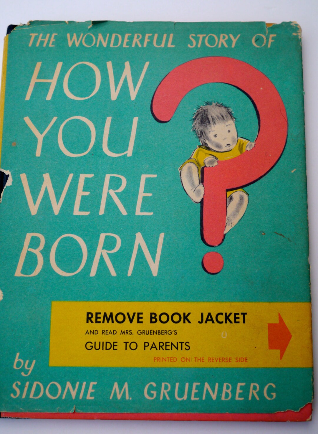 The Wonderful Story of How You Were Born Sidonie Gruenberg 1952 Vintage ...