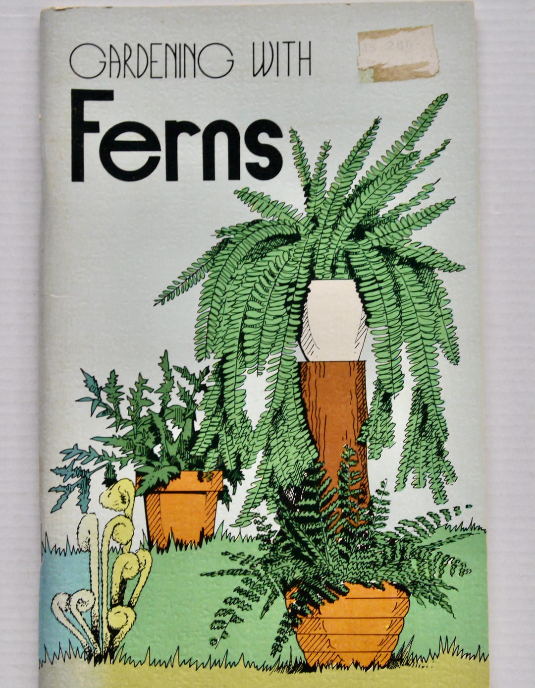 Gardening With Ferns Vintage Houseplant Book: 1973 Botanical ...