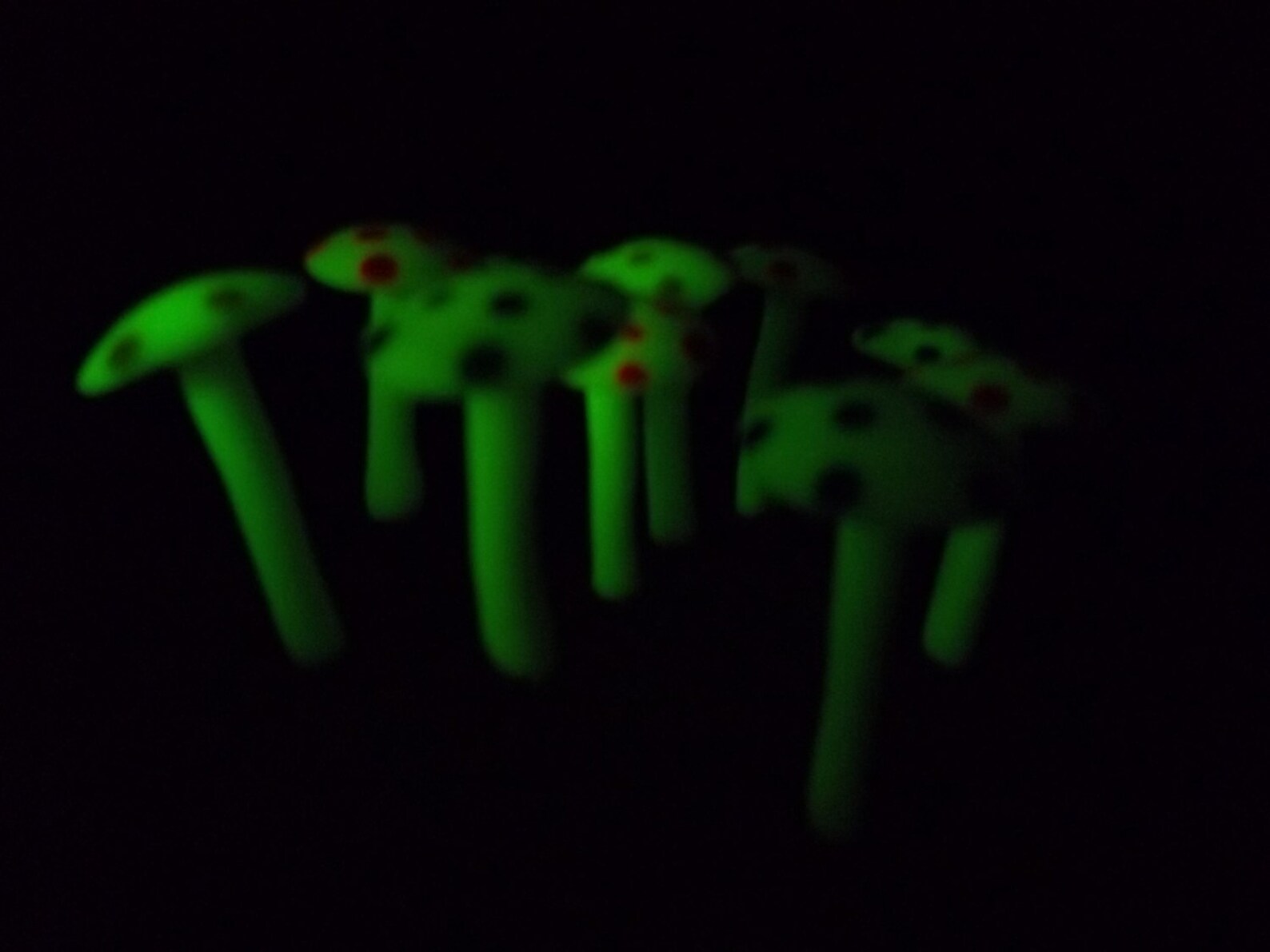 10 Glow-in-the-dark Miniature Fairy Garden Mushrooms With | Etsy