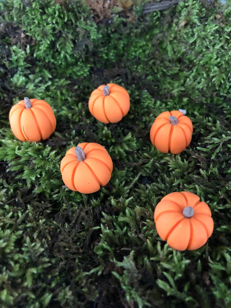 10 Miniature Thanksgiving Autumn Pumpkins Fairy Garden - Etsy
