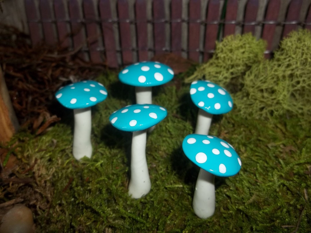 Livraison gratuite haute qualité 5 champignons miniatures pour fée ...