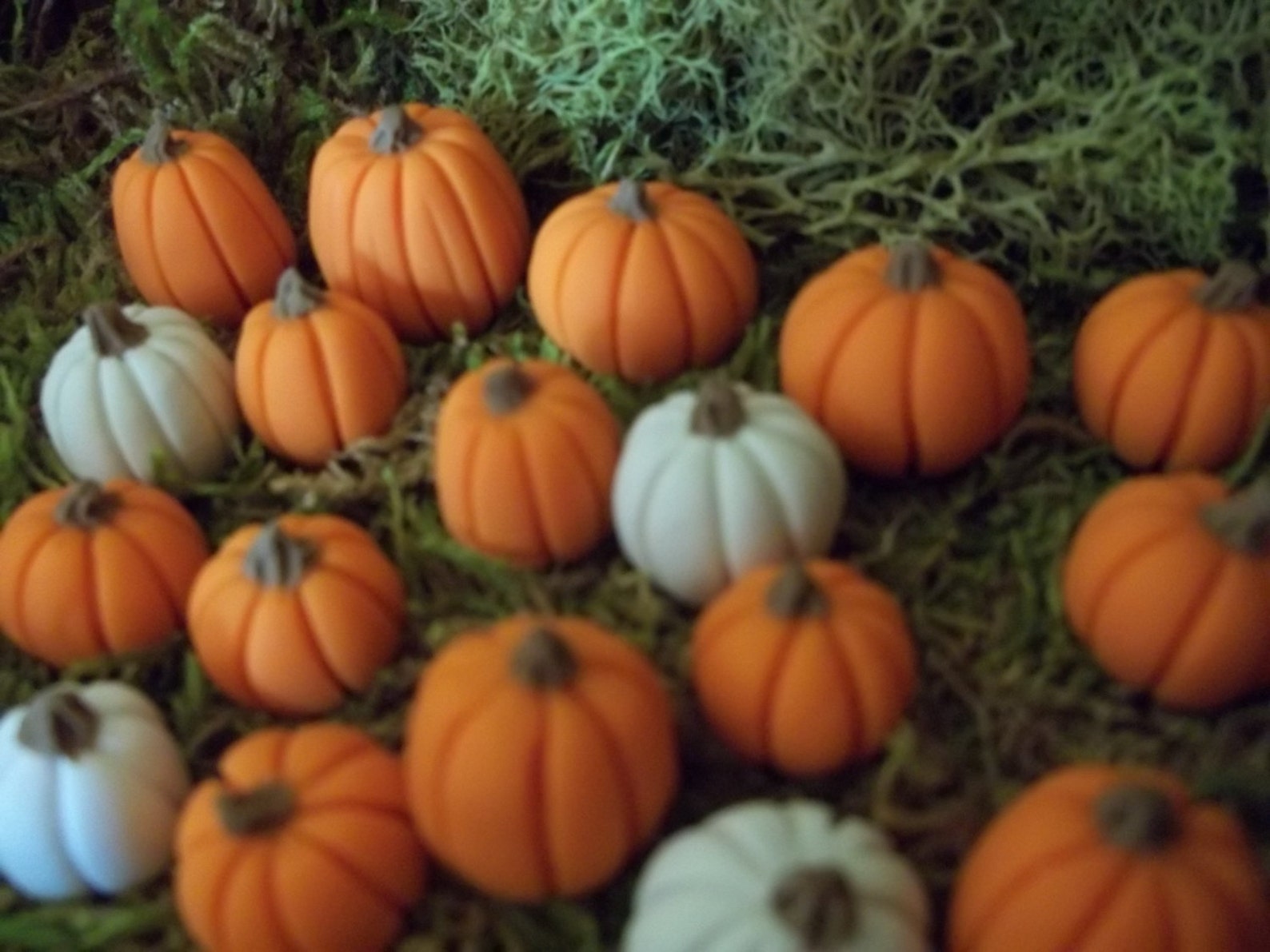 10 Miniature Thanksgiving Autumn Pumpkins Fairy Garden | Etsy