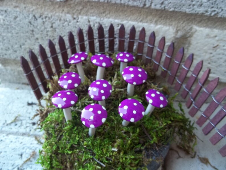 Free Shipping High Quality 10 Violet Purple Miniature - Etsy