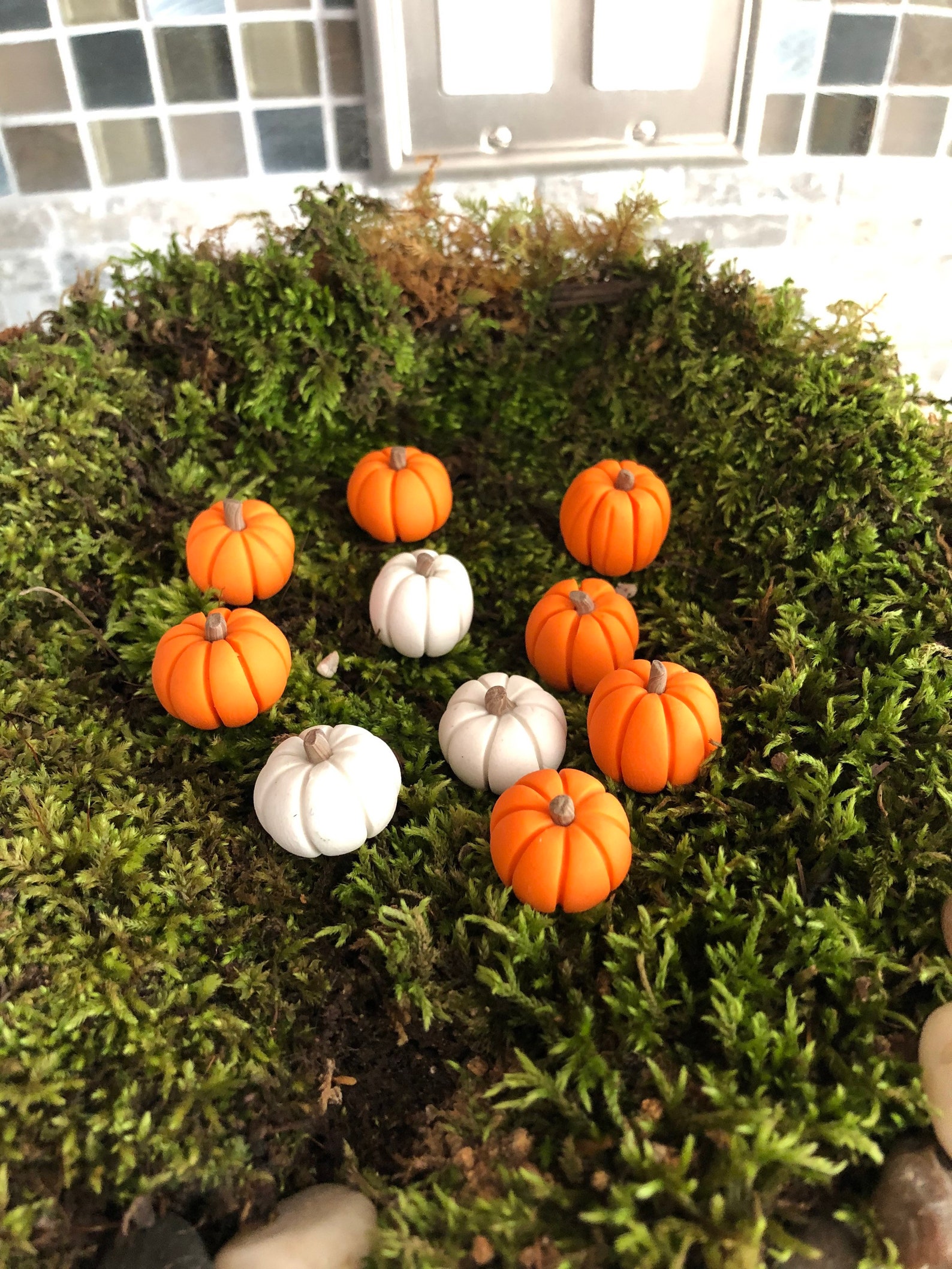 10 Miniature Thanksgiving Autumn Pumpkins Fairy Garden | Etsy