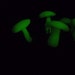 3 Glow-in-the-dark Miniature Fairy Garden Mushrooms With - Etsy