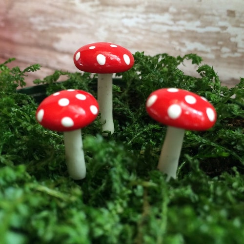 3 Glow-in-the-dark Miniature Fairy Garden Mushrooms With - Etsy