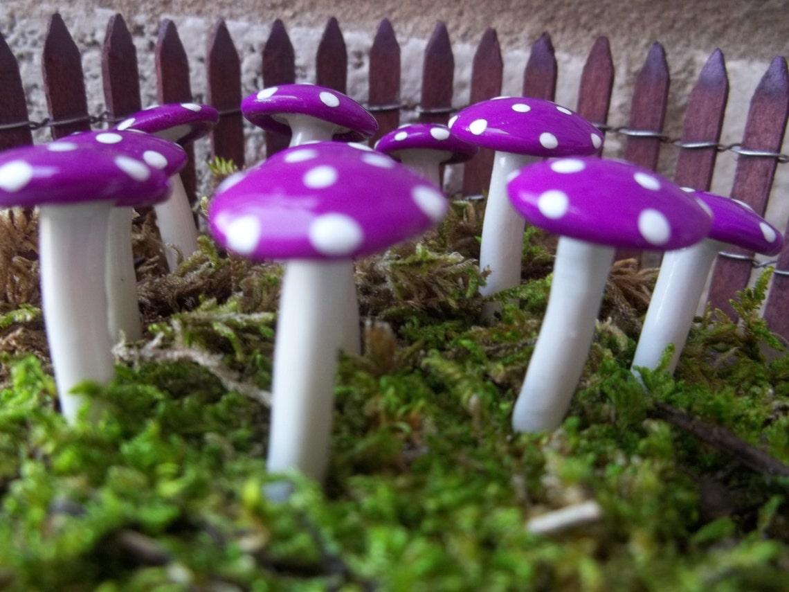 Free Shipping High Quality 10 Violet Purple Miniature - Etsy