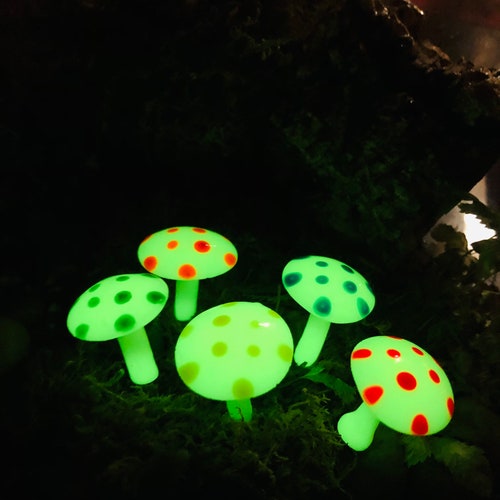 6 Glow-in-the-dark Miniature Fairy Garden Mushrooms With - Etsy