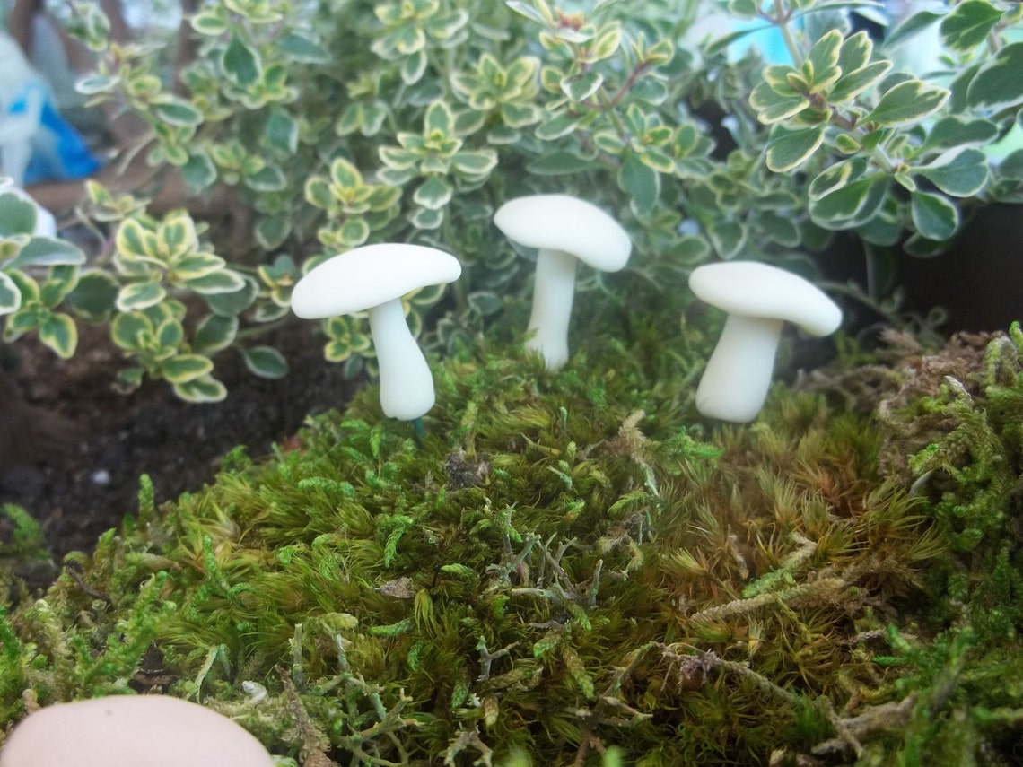 3 Glow-in-the-dark Miniature Fairy Garden Mushrooms With - Etsy