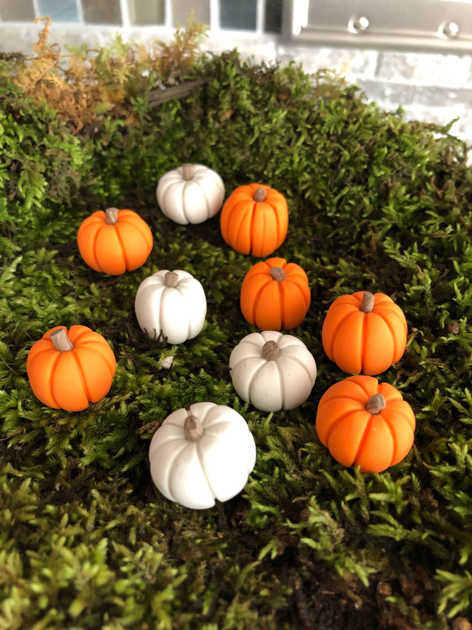 10 Miniature Thanksgiving Autumn Pumpkins Fairy Garden | Etsy