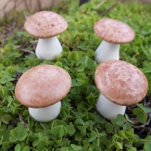 Set of 4 Fairy Garden Mushrooms Miniatures Gnome Pixie - Etsy