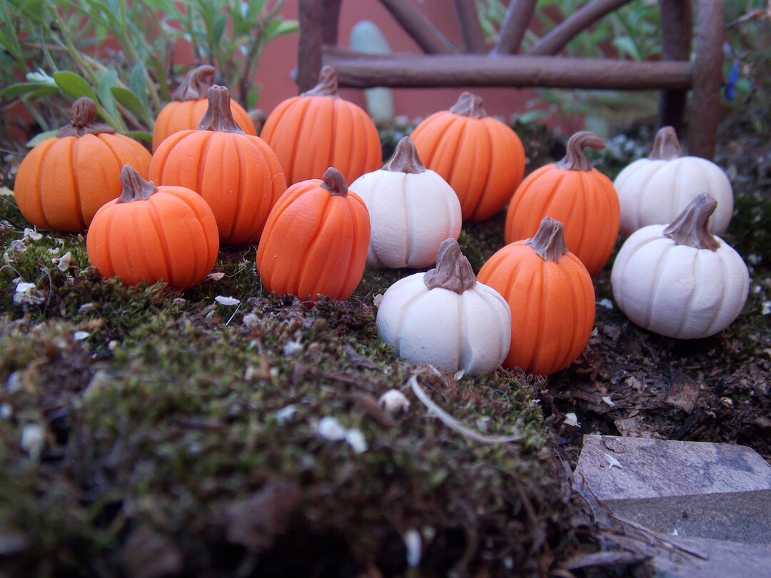 9 Fall Miniature Pumpkins in Orange and White - Etsy