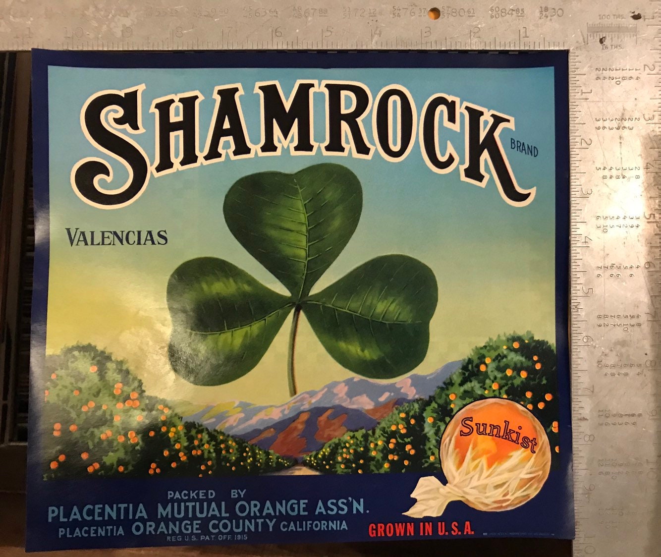 Original Vinatge 1940s Crate Label "shamrock Valencia Sunkist Oranges ...