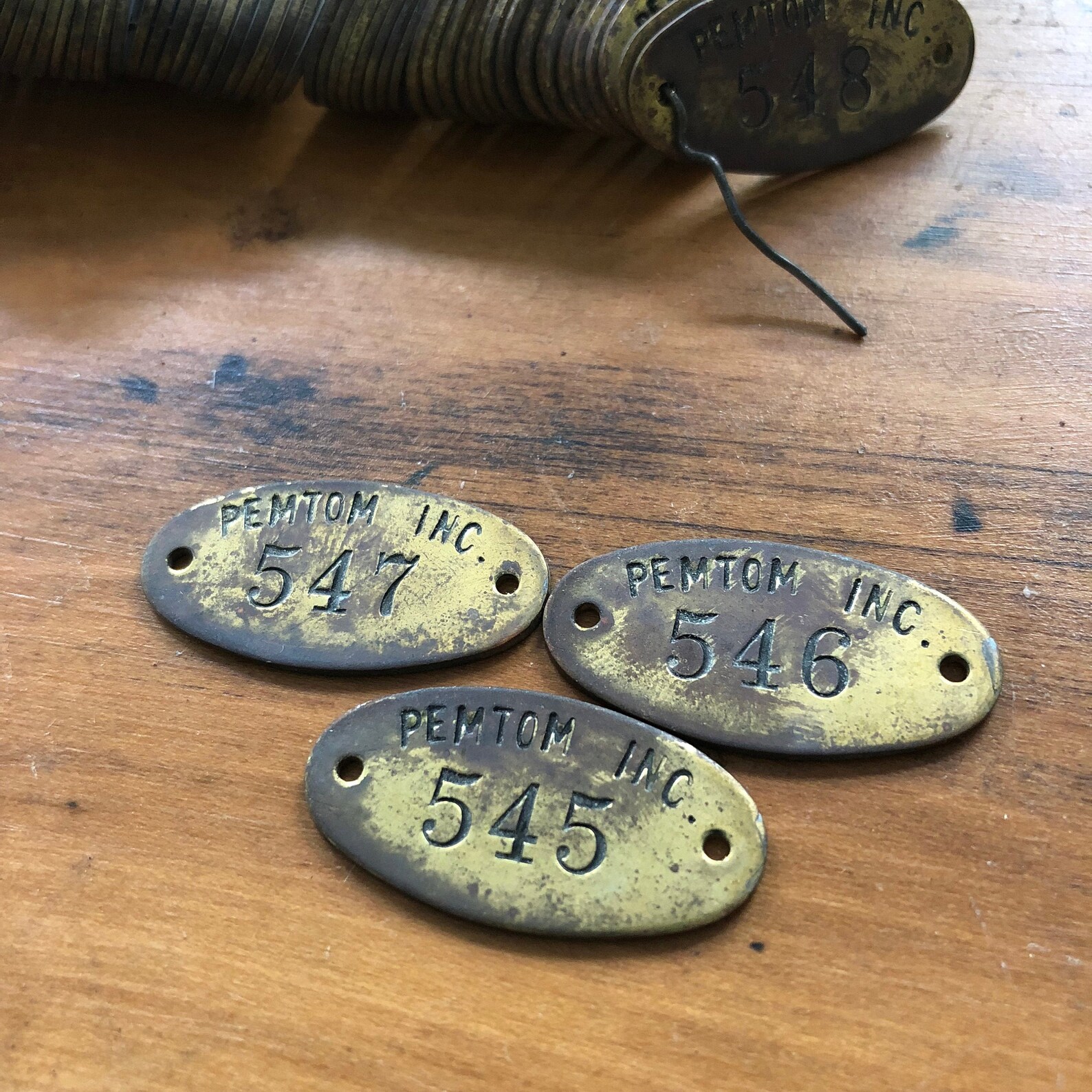 Set of 3 Consecutively Numbered Oval Tags PEMTOM INC Antique | Etsy