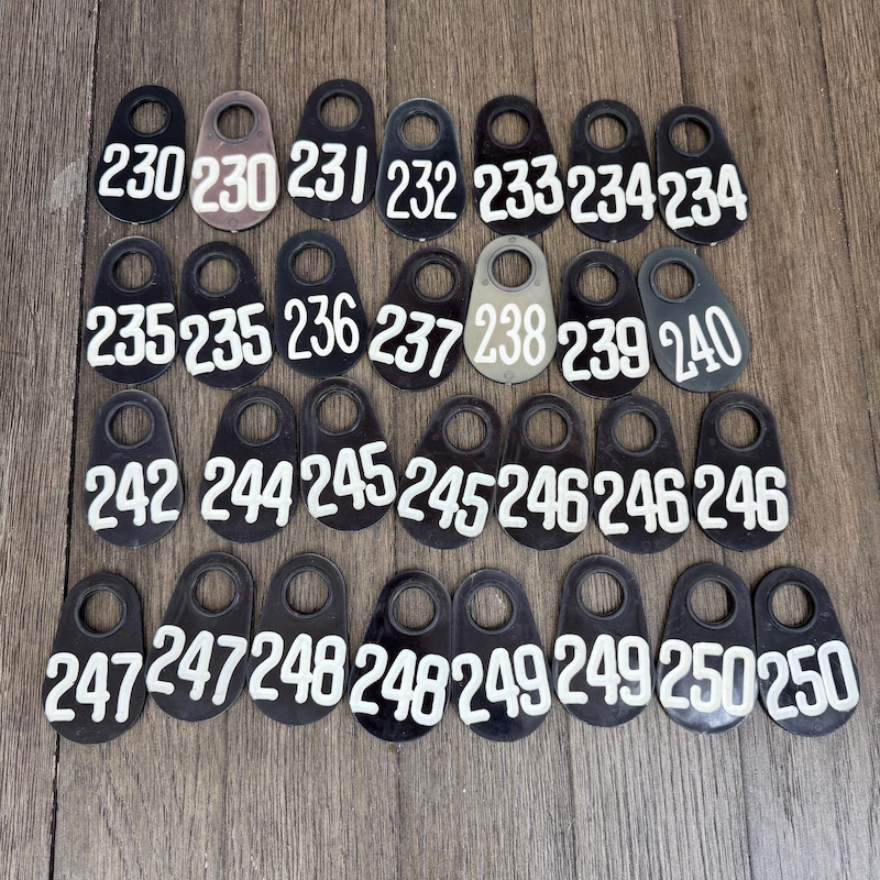 aVintageParcel - Etsy