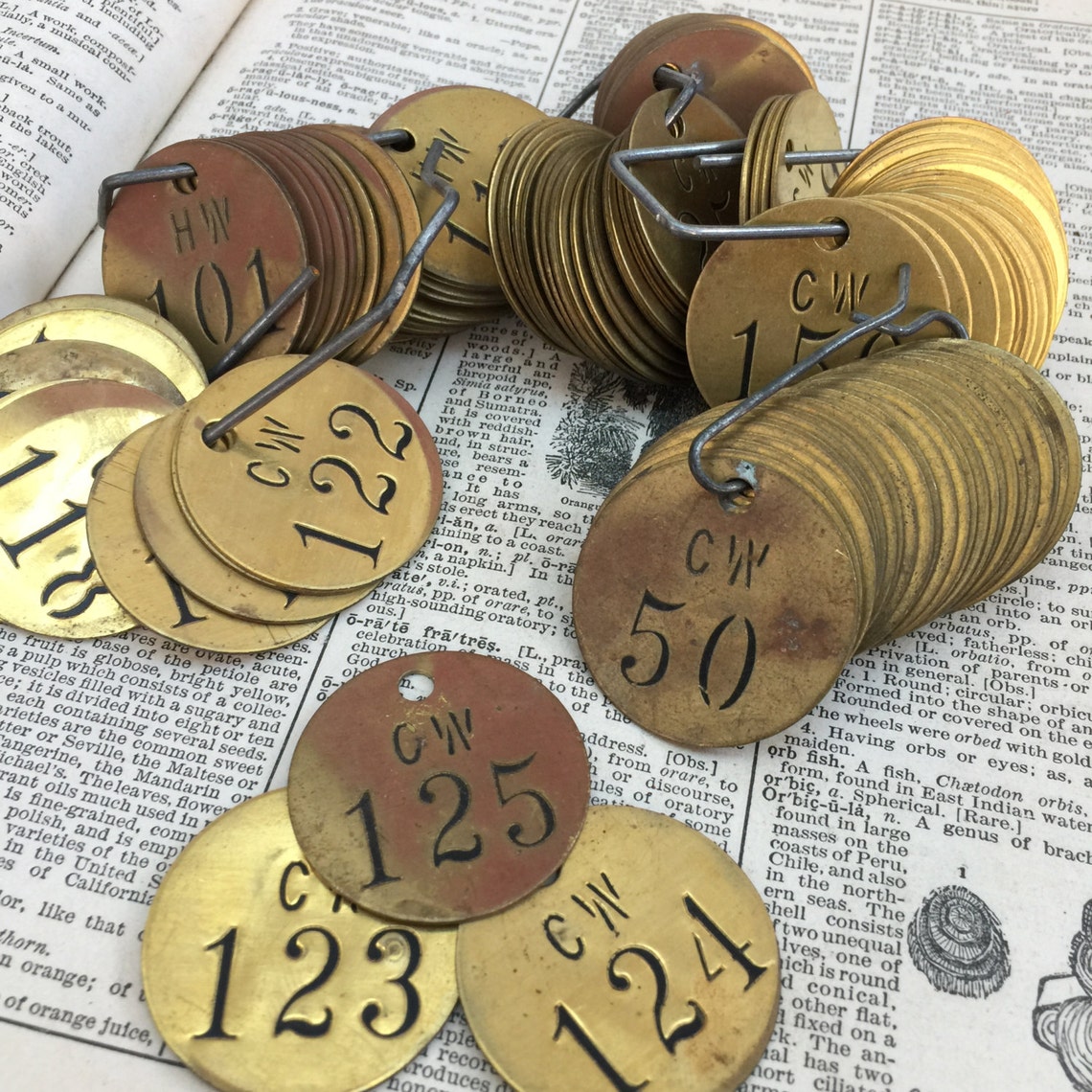 Antique numbered Brass tags set of 3 black numbers on | Etsy