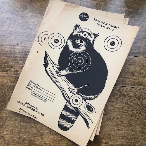 Vintage J.C. Higgins Raccoon Target Paper Target No. 3 - Etsy