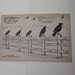 Vintage J.C. Higgins Rail Bird Target - Paper Target No. 12 - Sears ...