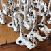 Chippy Light White Paint Acorn Coat Hooks Authentic Vintage - Etsy