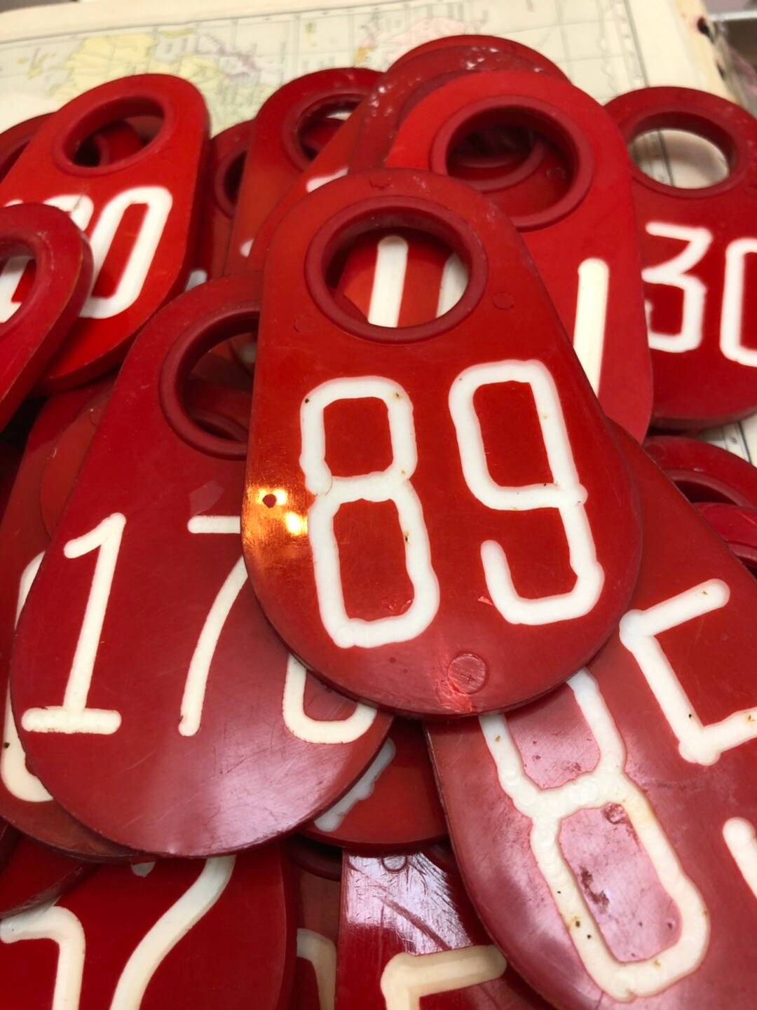 Vintage Plastic Cow Tag antique Plastic Livestock ID Tag Plastic Bull ...