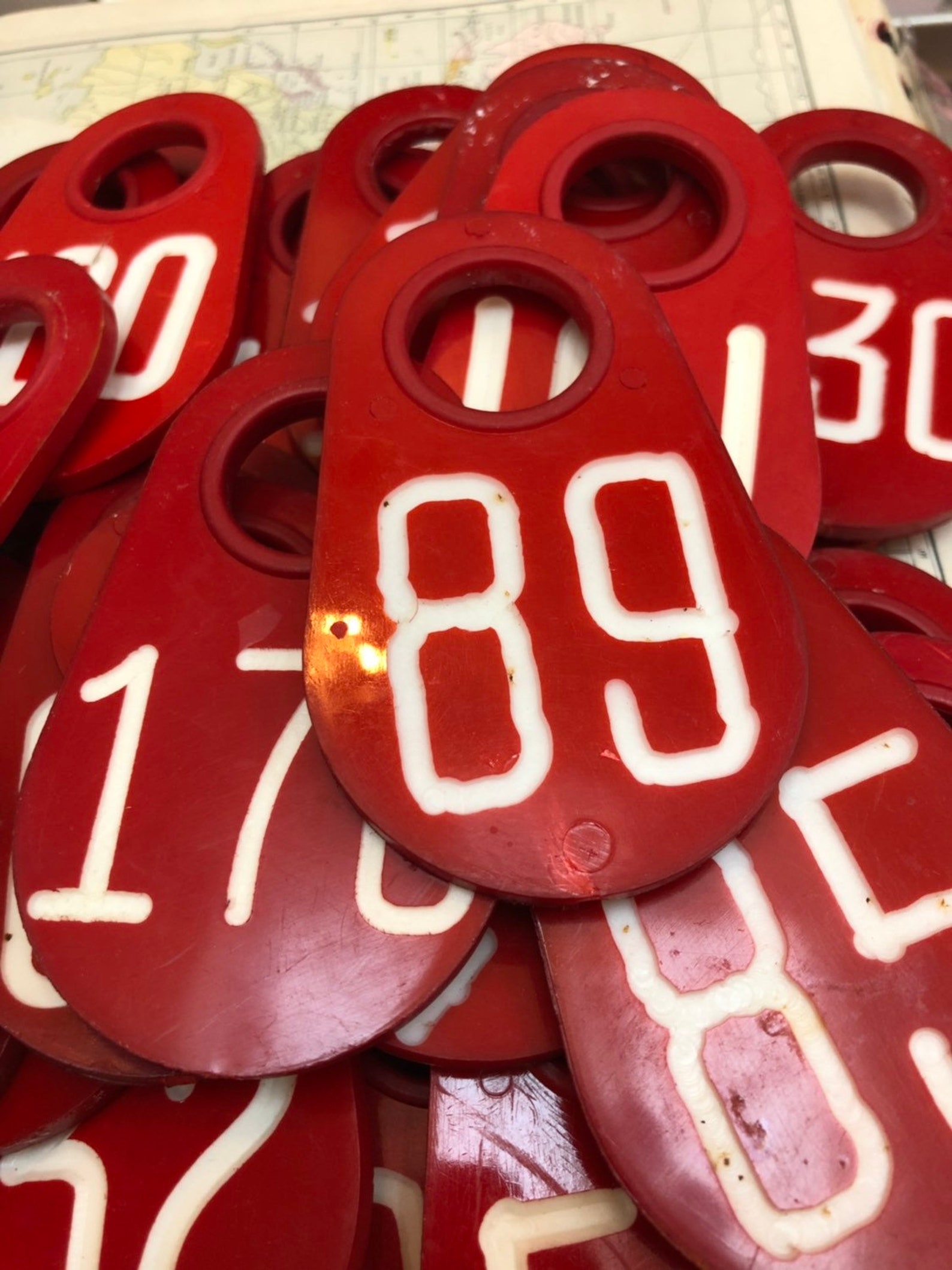 Vintage Plastic Cow Tag antique Plastic Livestock ID Tag Plastic Bull ...