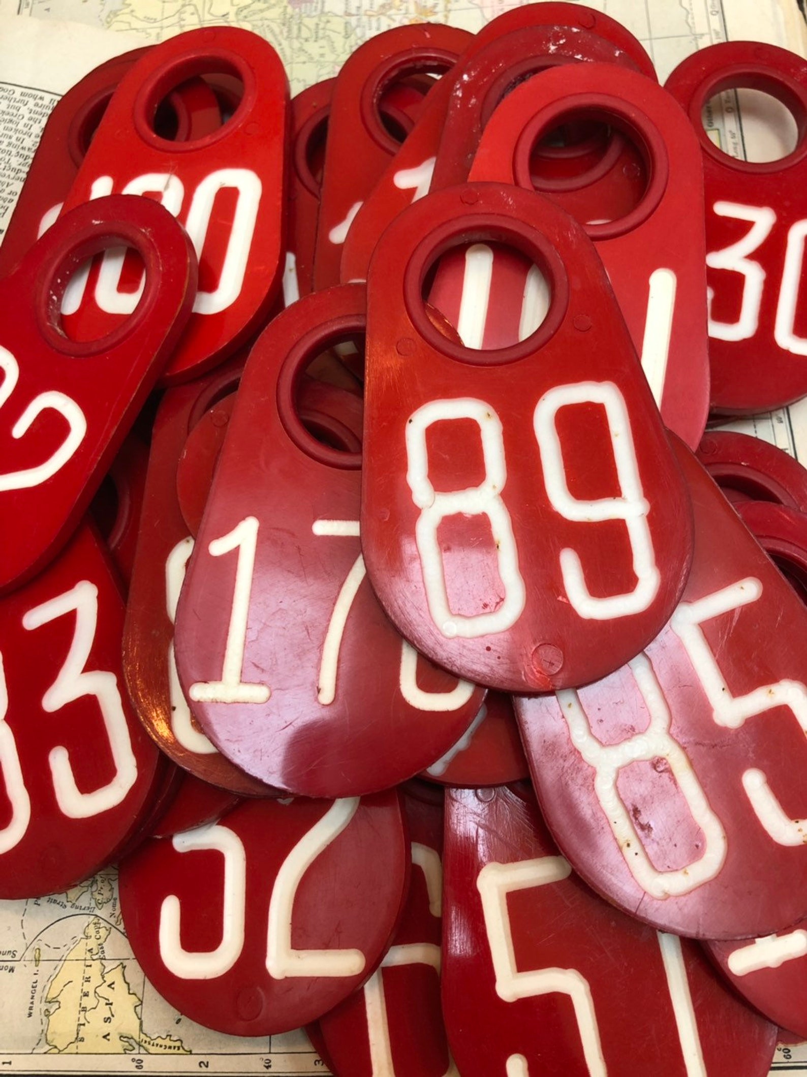 Vintage Plastic Cow Tag antique Plastic Livestock ID Tag Plastic Bull ...