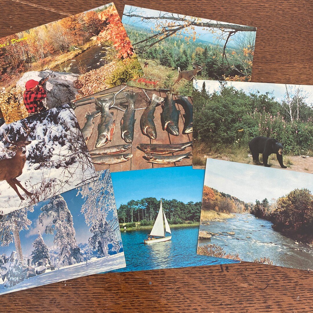 Vintage Postcard -choose Style- Hunting - Fishing -nature- 1980's ...
