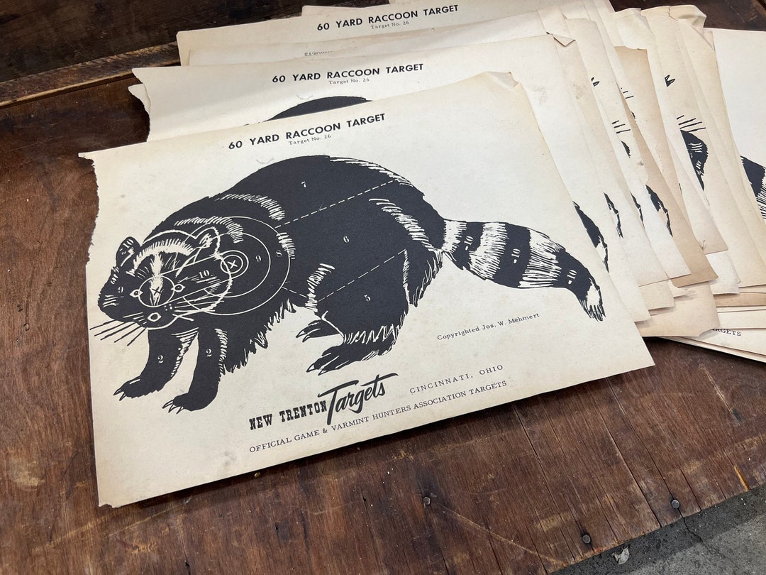 Vintage New Trenton Raccoon Target - Paper Target No. 3 - Sears Roebuck ...