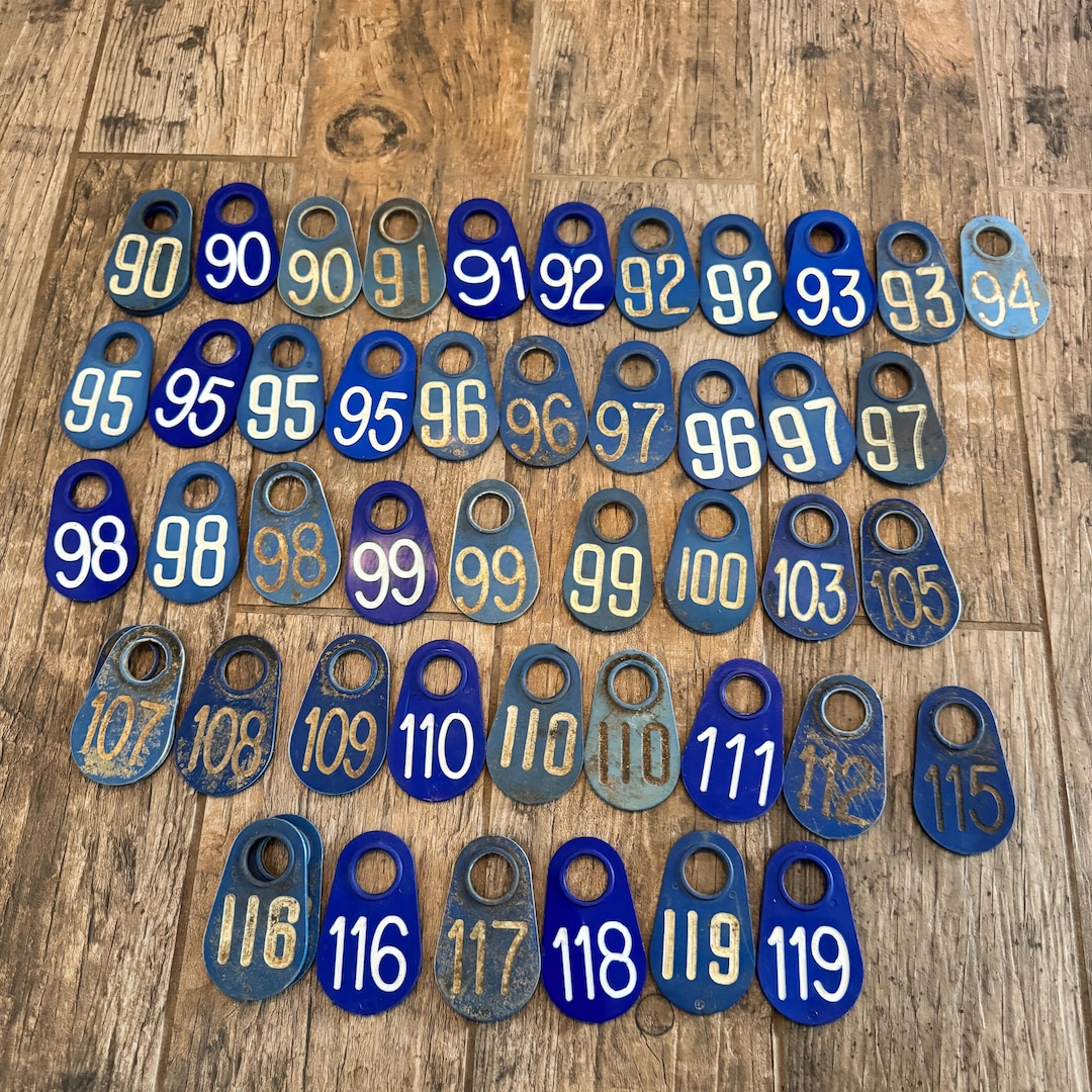 Vintage Blue Plastic Cow Tag -antique Plastic Livestock ID Tag ...