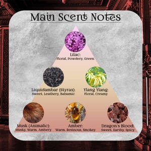 DRACULA Perfume Oil: Rich Floral and Musk Gothic Vampire Scent, TAT 5-6 ...
