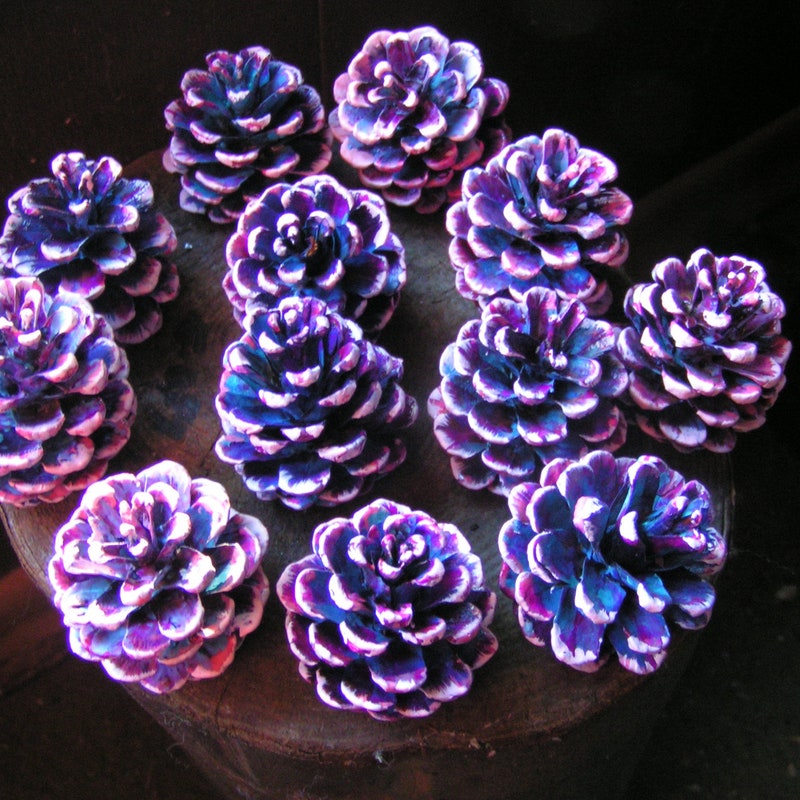 Painted Pine Cone - Etsy