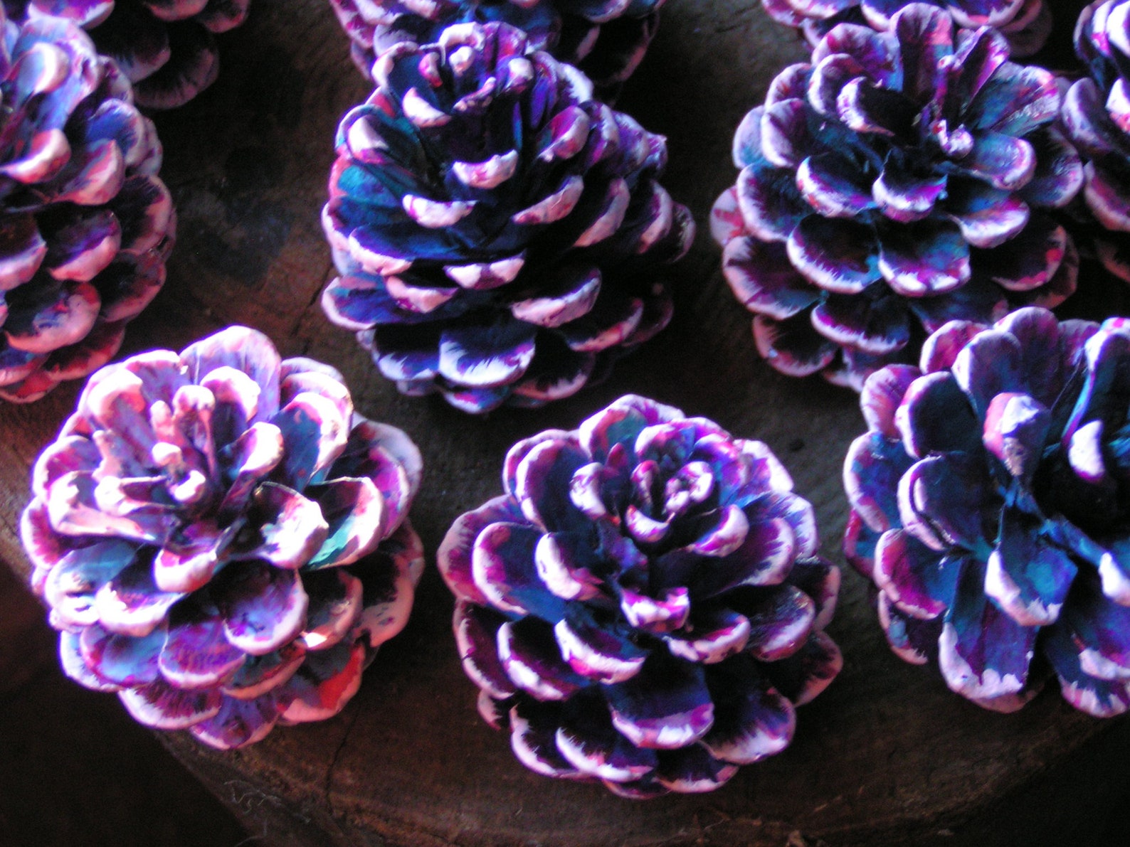 Pink & Blue Hand Painted Pine Cones20 Beautiful Cones Sitting ...