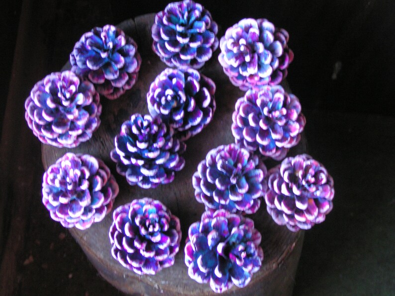 Pink & Blue Hand Painted Pine Cones20 Beautiful Cones - Etsy