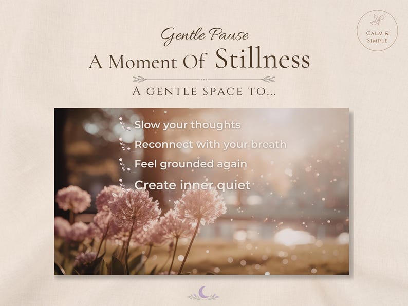 A Moment of Stillness Meditation | Guided Mindfulness Meditation Audio ...