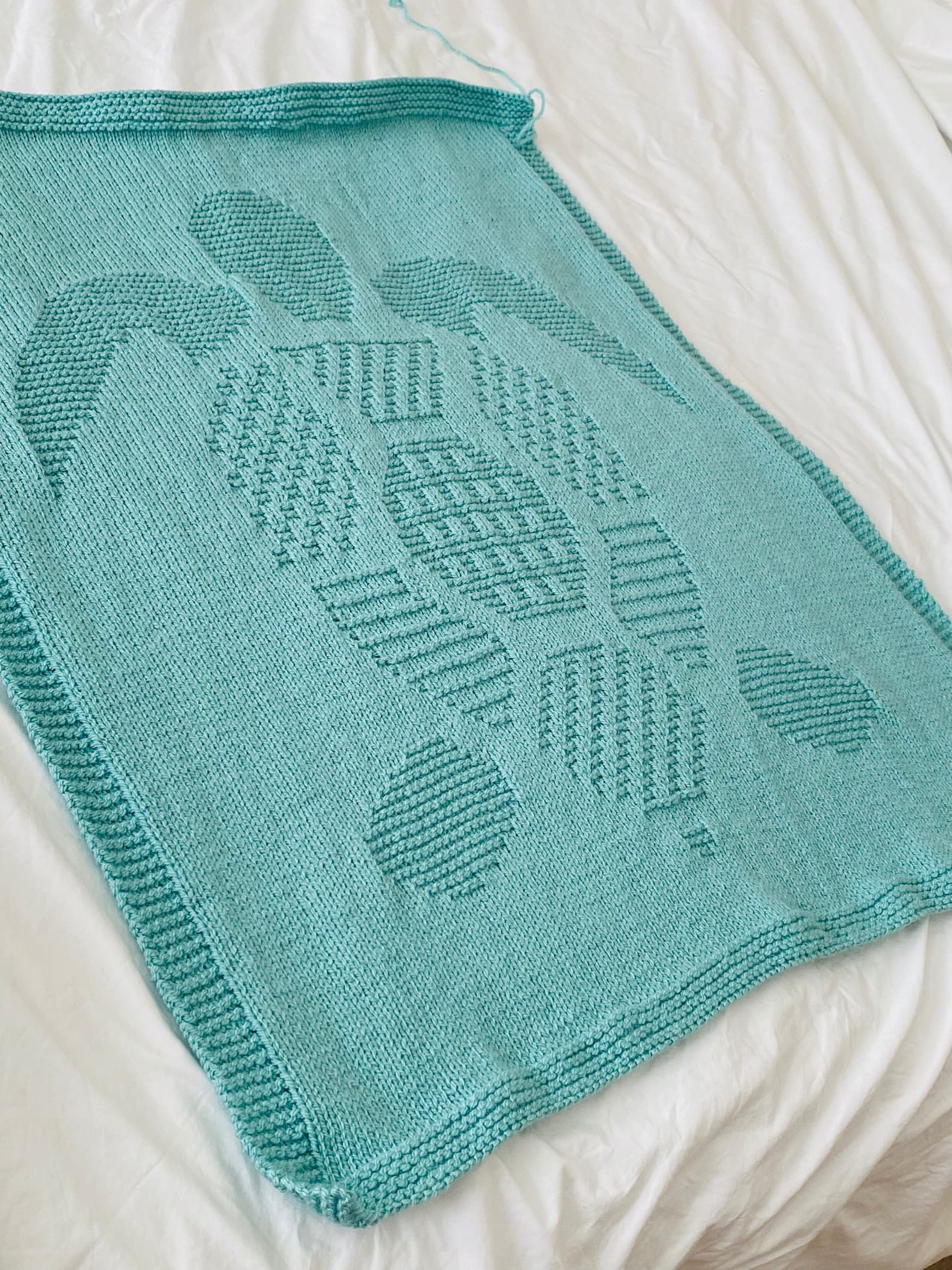 Knitting Pattern Giant Turtle Blanket Picture Blanket PDF - Etsy
