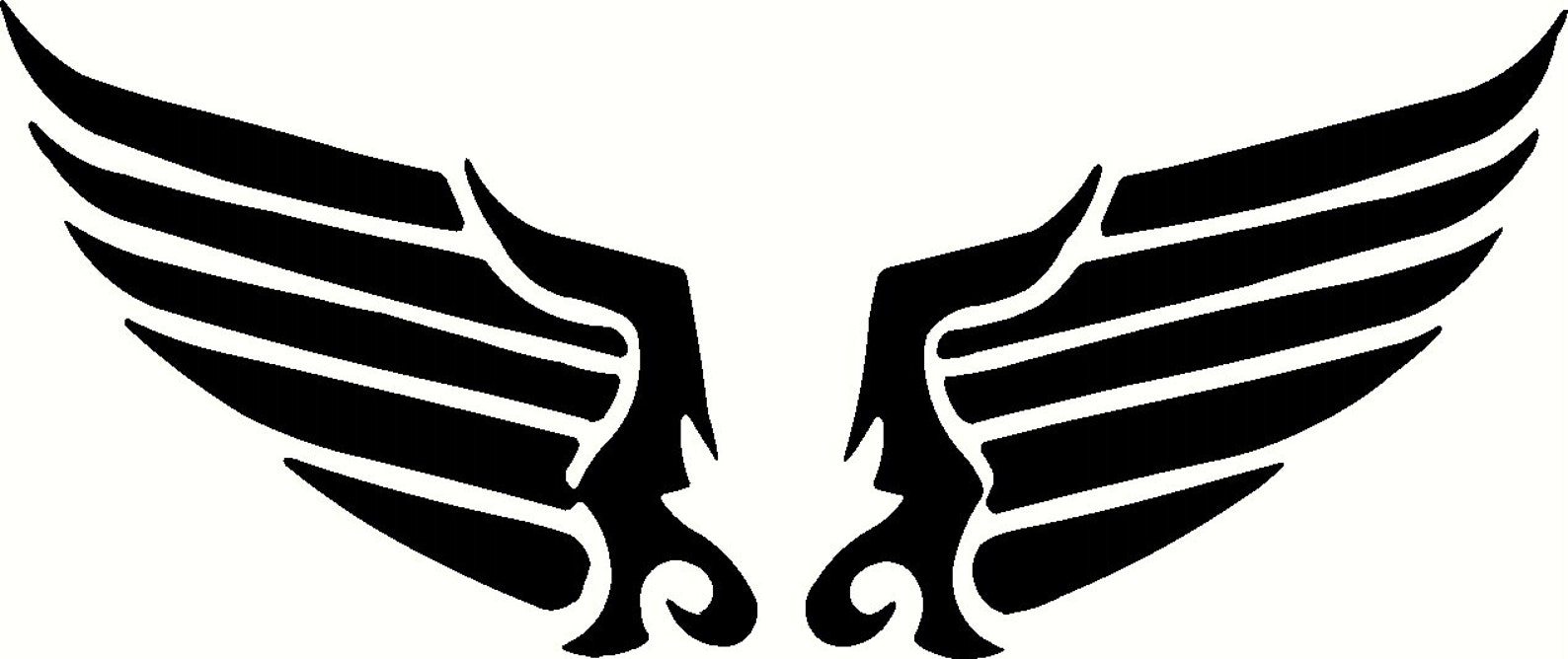 Wings Vinyl Decal 2 | Etsy