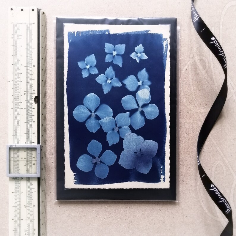 Original Cyanotype by Martinefa - "fleurs" (flowers) - Unique Artistic ...