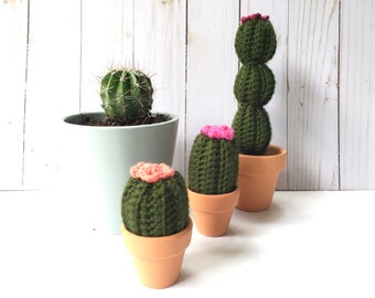 Cactus desk decor | Etsy