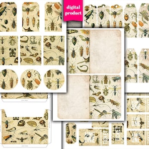 DIGITAL Vintage Insects Junk Journal Kit - Printable Vintage Insect ...