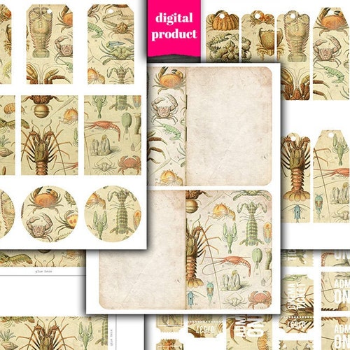 DIGITAL Vintage Sea Creatures Digital Papers Printable Junk - Etsy