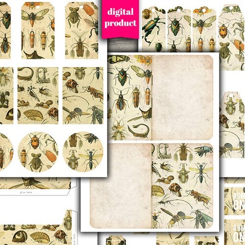 DIGITAL Grunge Insects Junk Journal Ephemera Digital Collage - Etsy