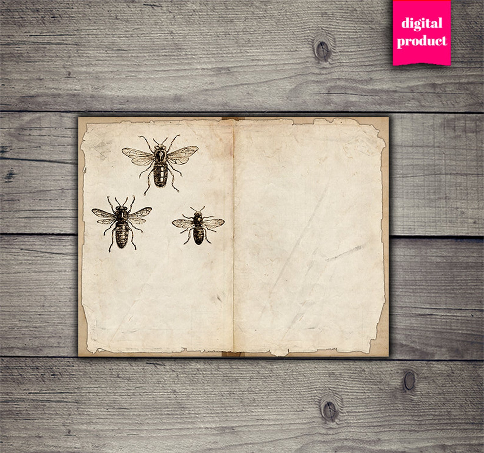 DIGITAL Insect Junk Journal Pages - Vintage Insects Paper Download ...