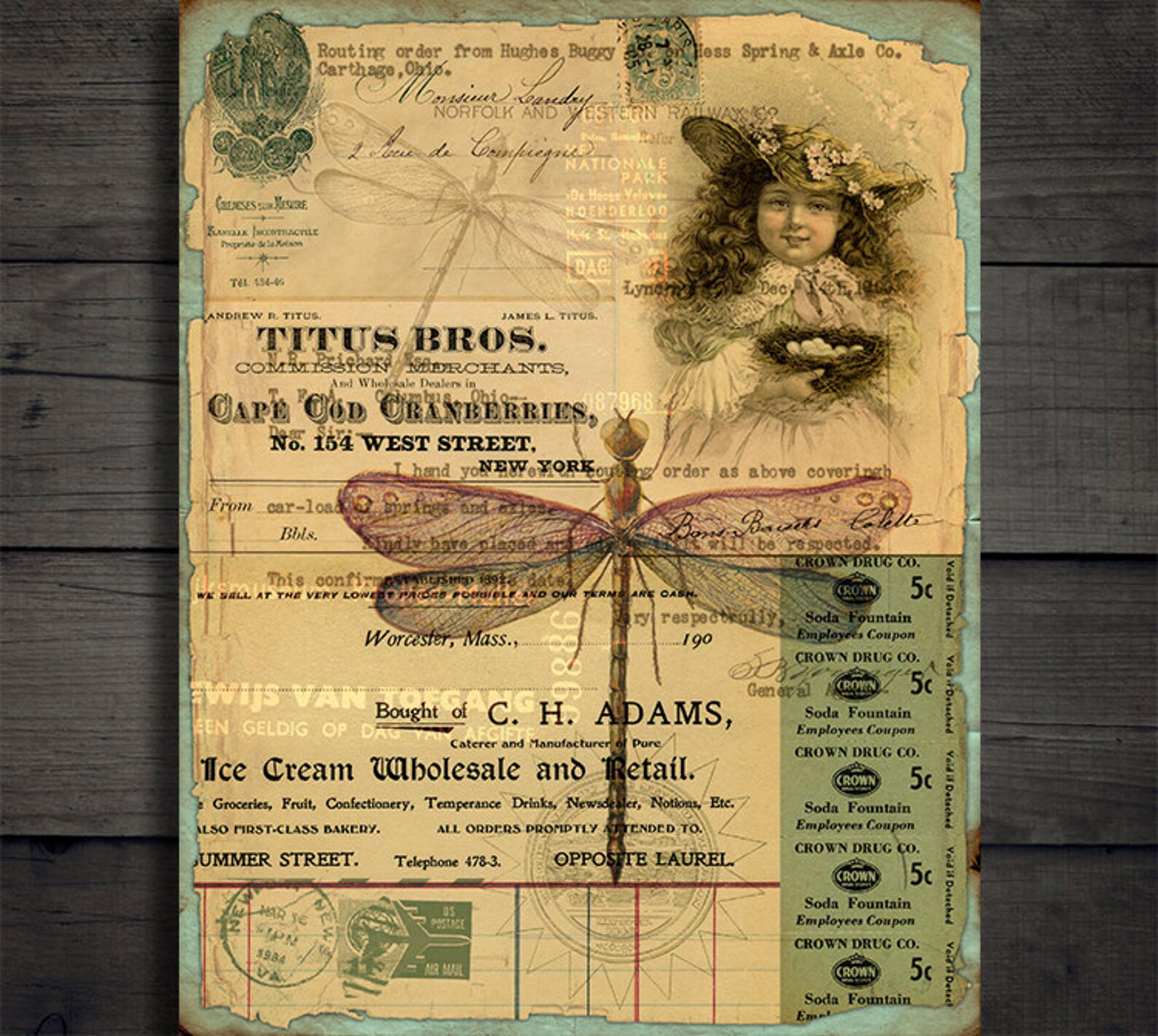 DIGITAL Vintage Dragonfly Ephemera - Digital Collage Sheet Download ...