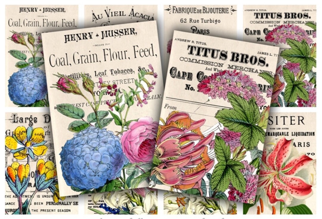 DIGITAL Botanical Typography Digital Collage Sheet Download - 619 ...